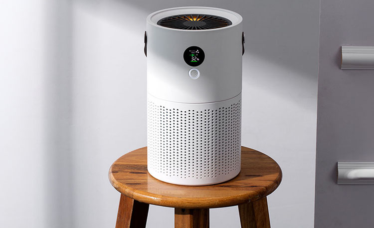 Top 5 Air Purifiers 2025